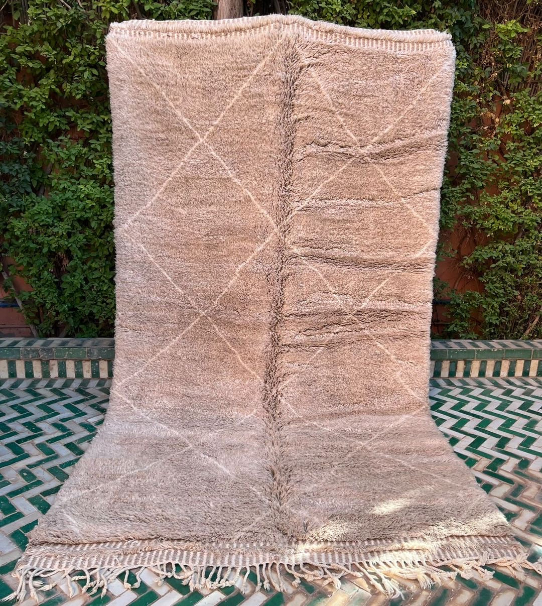 The Naderi Rug – Harem Modern