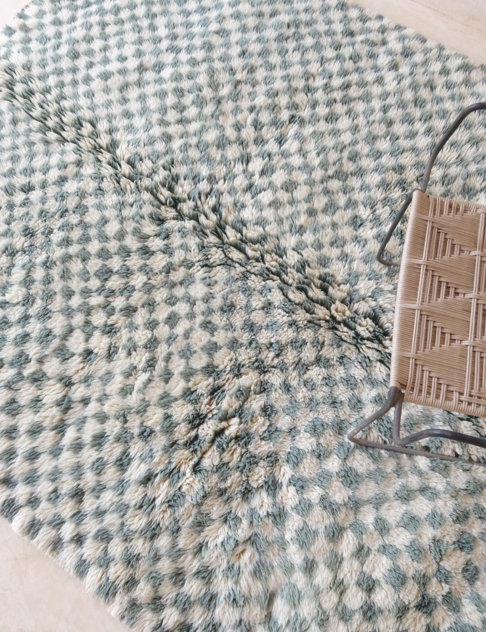 The Aderfi Rug – Harem Modern